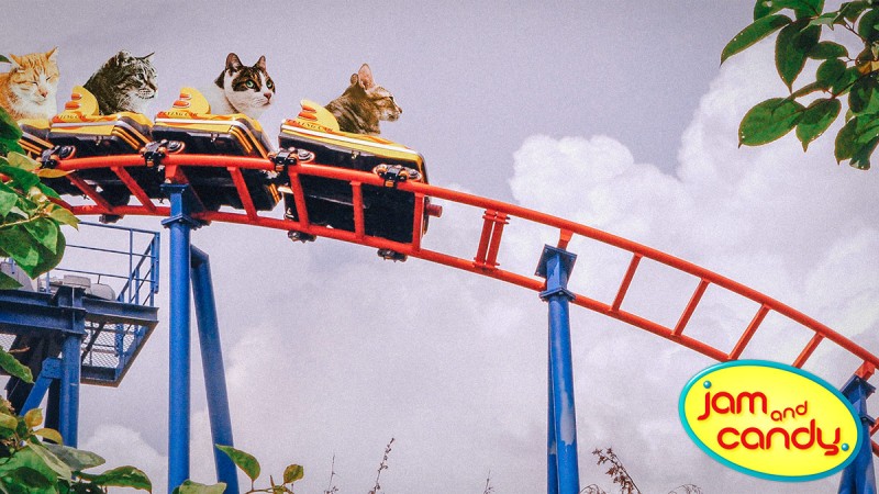 A wild ride - Jam and Candy