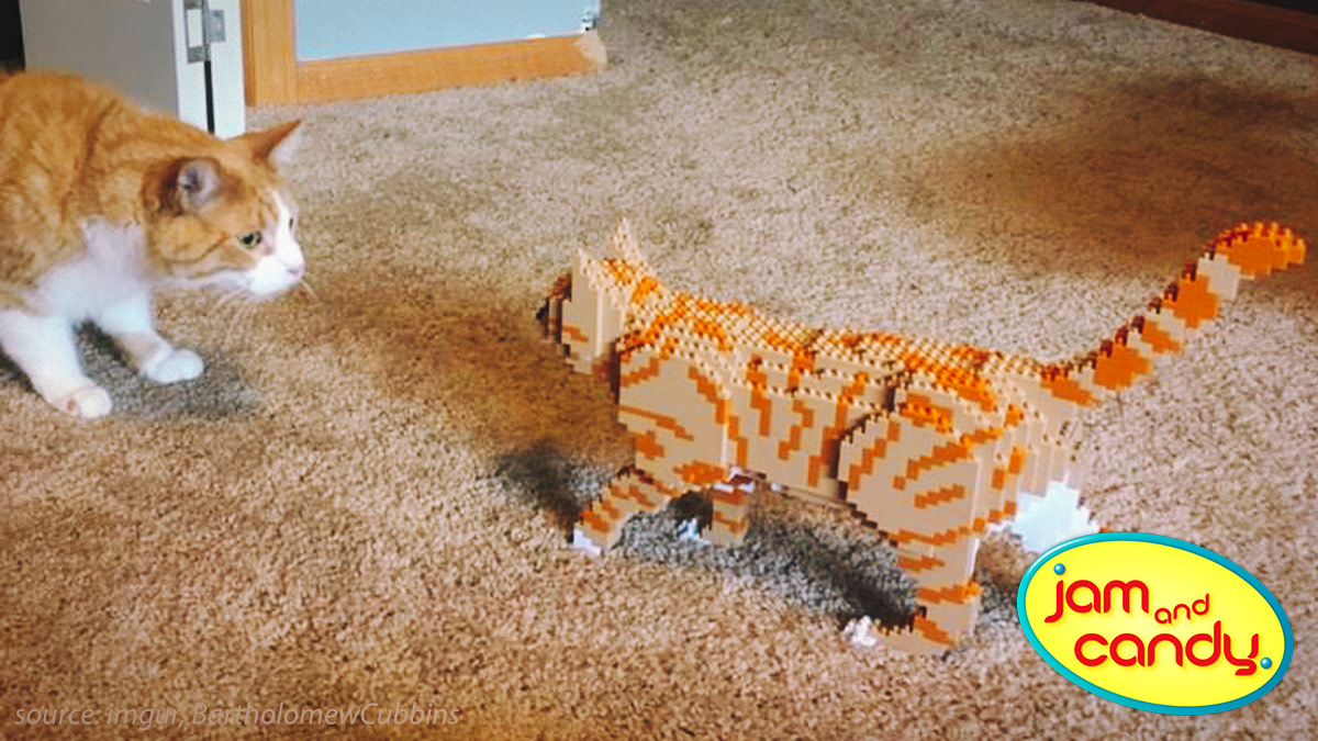 Lego my cat! - Jam and Candy