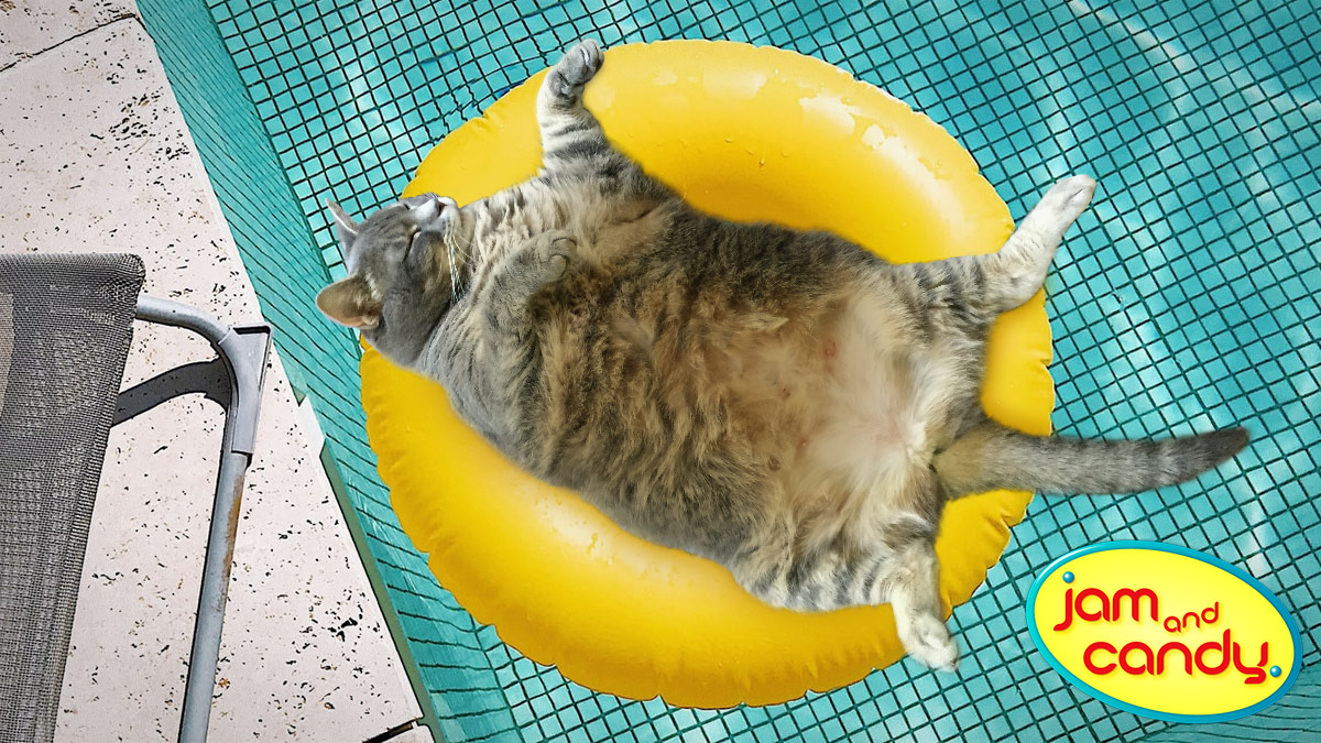 Just chillax. - Jam and Candy